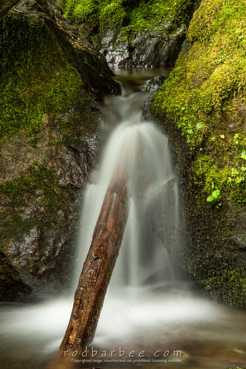 Merriman Falls, Olympic National Forest, WA - Rod Barbee Photo Workshops